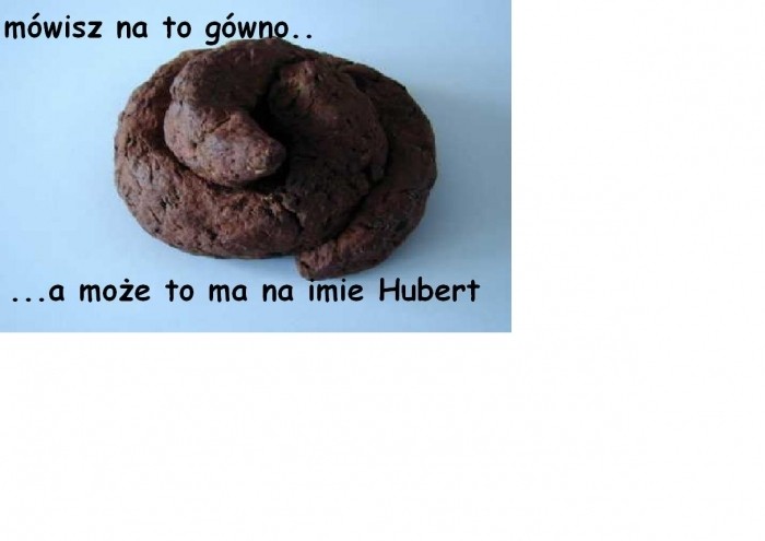 gówno - chamsko.pl