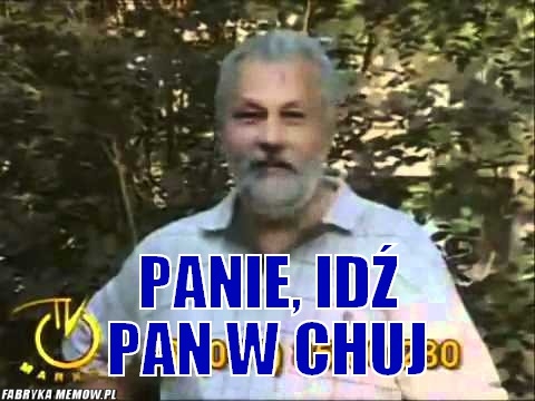 Kukurydza pionier 8400 - zdjęcie, fotka, foto numer: 782373 - Galeria ...