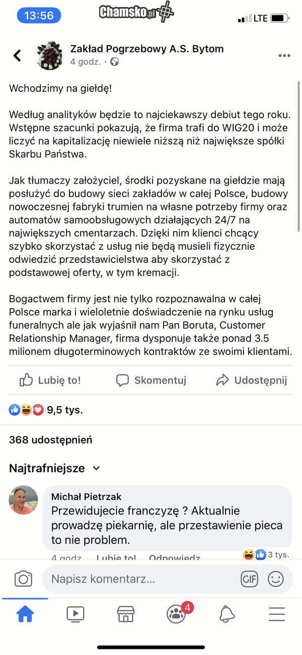 Propozycja biznesowa - chamsko.pl