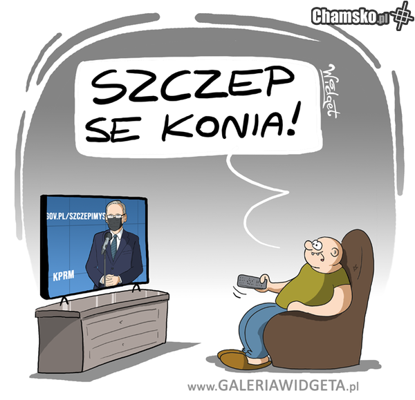 Szczepienia - chamsko.pl