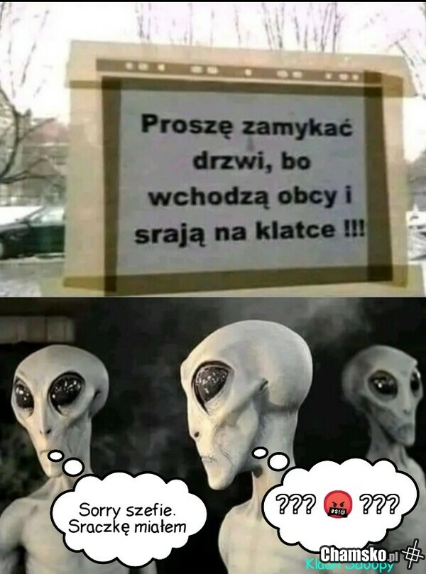 Obcy - decydujące starcie. - chamsko.pl