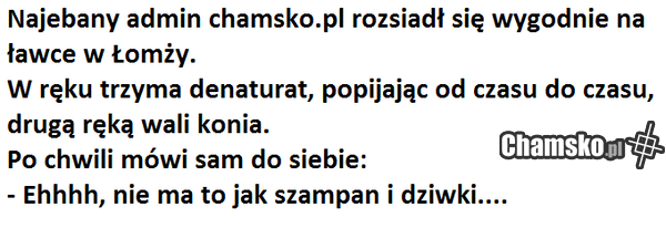Chamskie obrazki, czarny humor