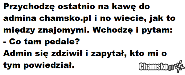 Chamskie obrazki, czarny humor