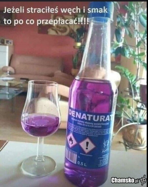 Chamskie obrazki, czarny humor