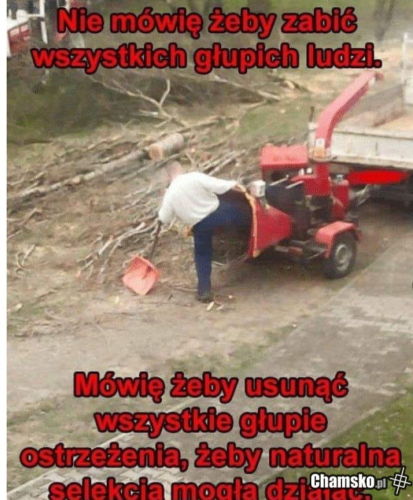 Chamskie obrazki, czarny humor