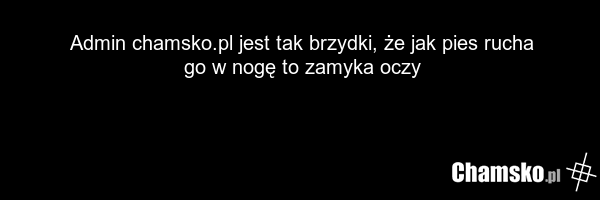 Chamskie obrazki, czarny humor