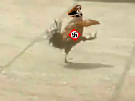 Chamskie obrazki, czarny humor