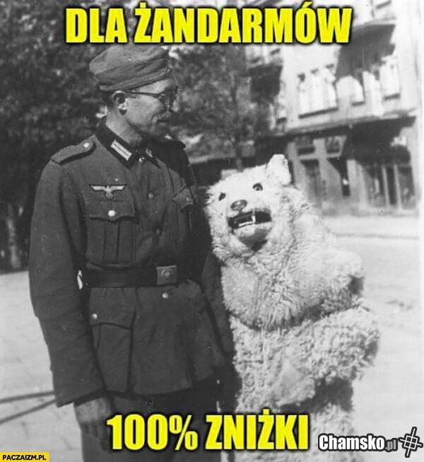 Chamskie obrazki, czarny humor