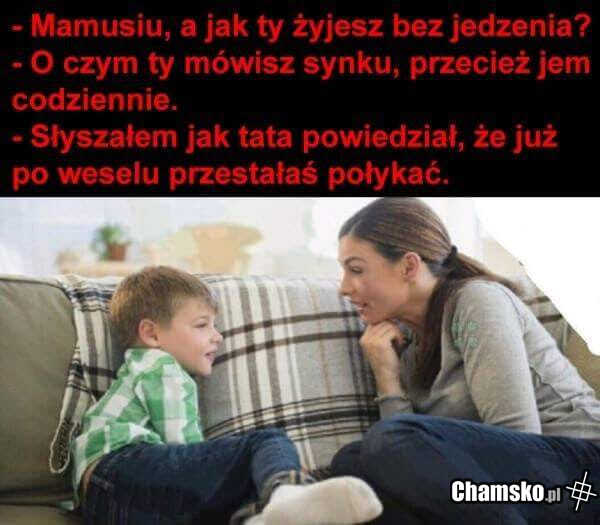 Chamskie obrazki, czarny humor