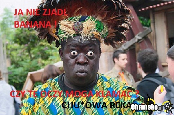 BANANOWY NYGA - chamsko.pl