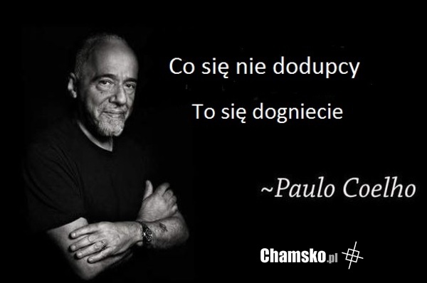 motto - chamsko.pl