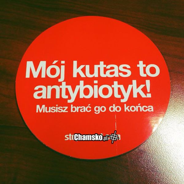 Mój kutas to - chamsko.pl