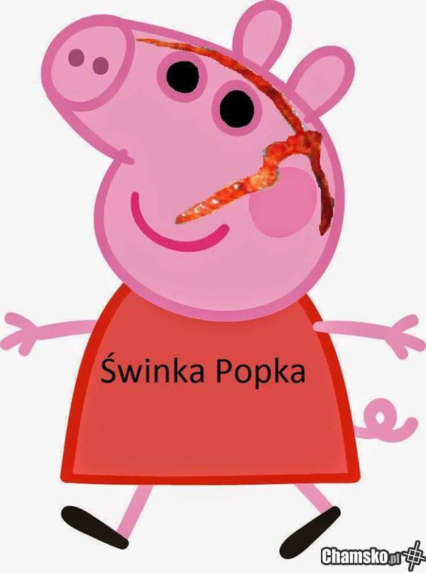Świnka Popka - chamsko.pl