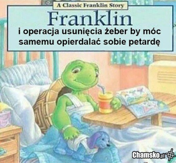 Franklin - chamsko.pl
